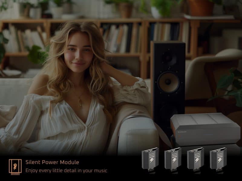 Timekeeper Voyager | Burson Audio – 200 W Class-AB Monoblock Amplifier